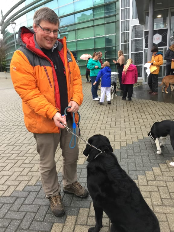 Darwin Dogs | A Gallery from Afternoons | RNZ National