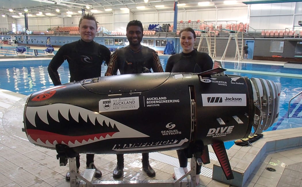Taniwha - the human-powered submarine | RNZ