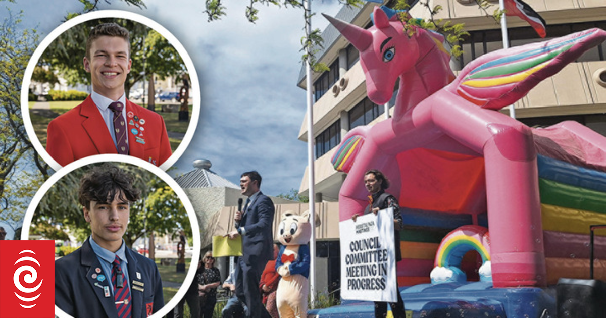 ‘Twerps’ or trailblazers? Youth council stays resilient | RNZ News