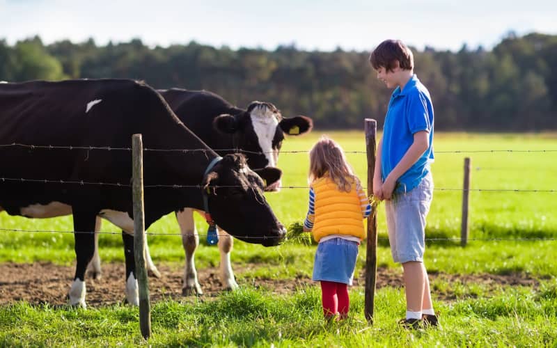 Farmers urged to keep an eye on the kids | RNZ