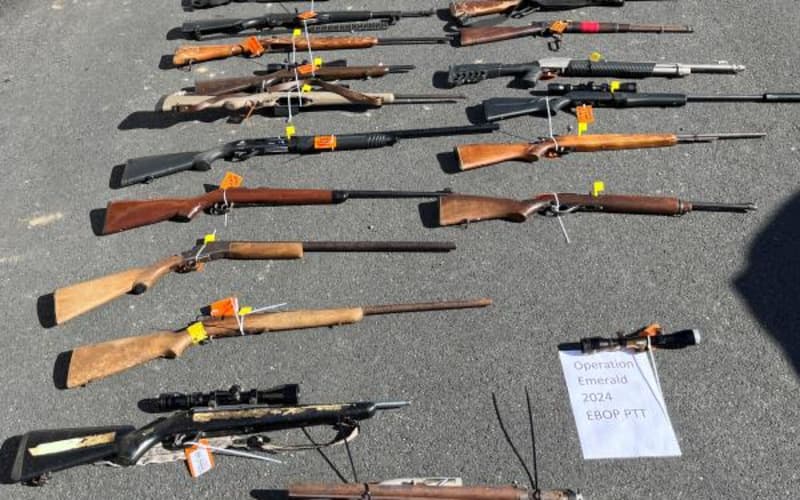 25 people arrested as 11,000 cannabis plants, loaded guns found in ...