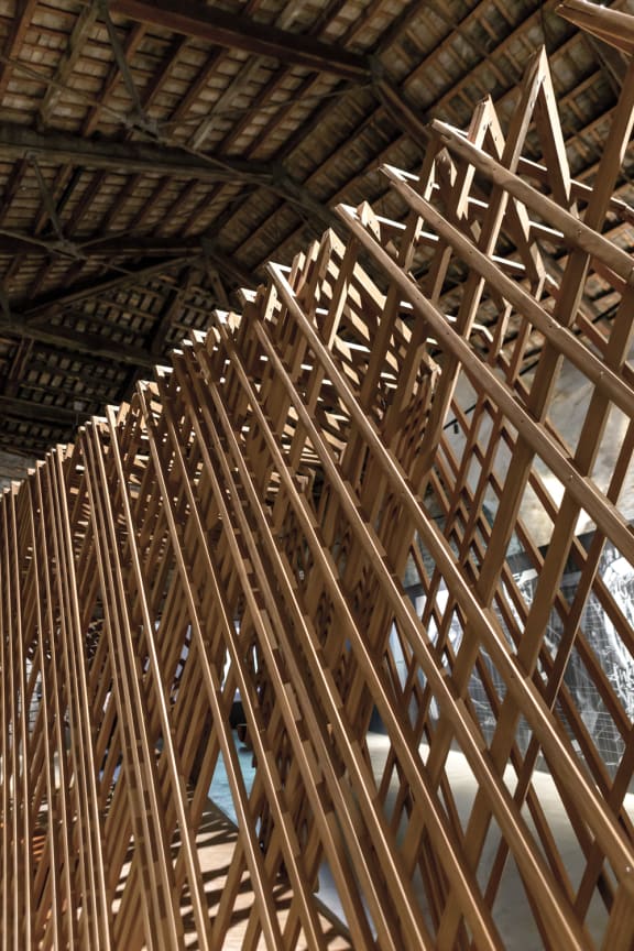 Learning from Trees: transforming timber culture in Aotearoa | A ...