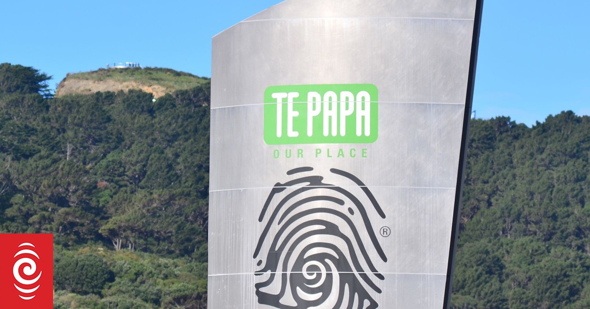 Te Papa should remove English version of the Treaty of Waitangi - Māori ...