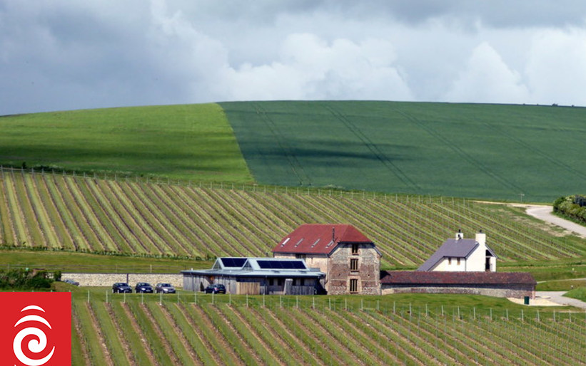 British Bubbles | RNZ