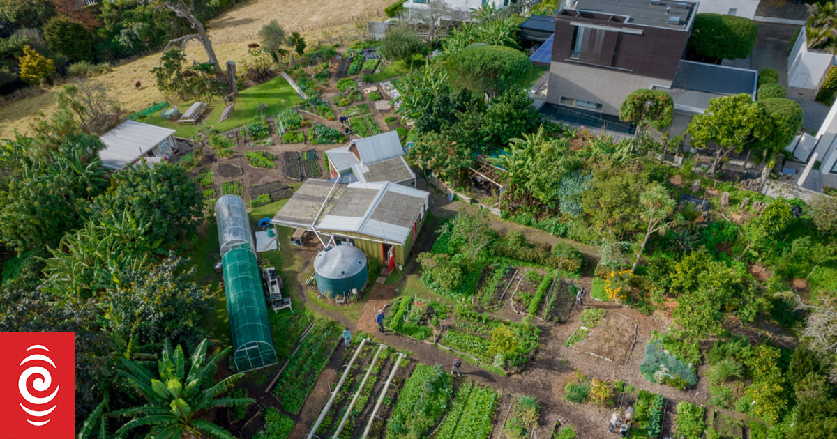 Kelmarna Community Farm asking for help to survive | RNZ