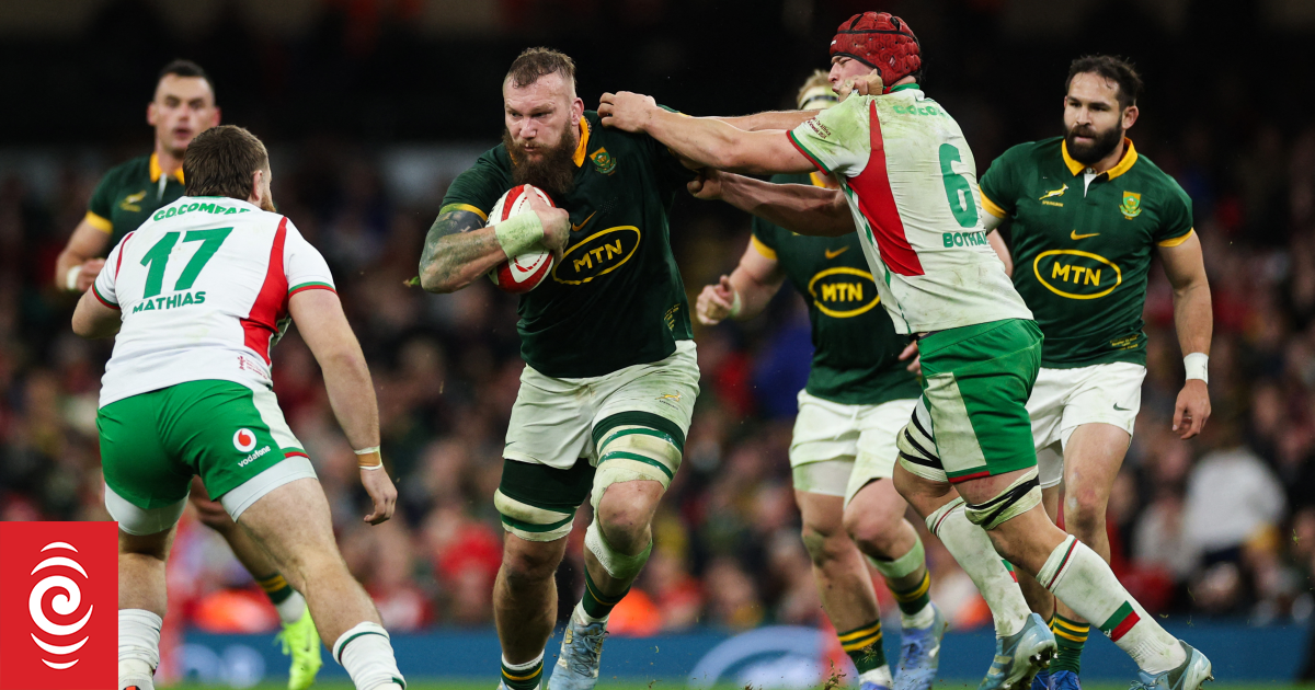 Rugby: Twelfth successive defeat for Wales as South Africa win easily ...