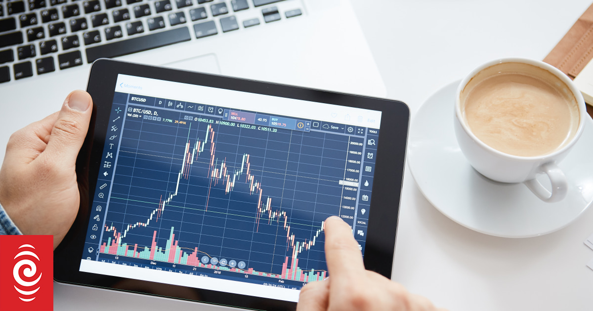 Nikko AM pivots to offer support for retail investors | RNZ News