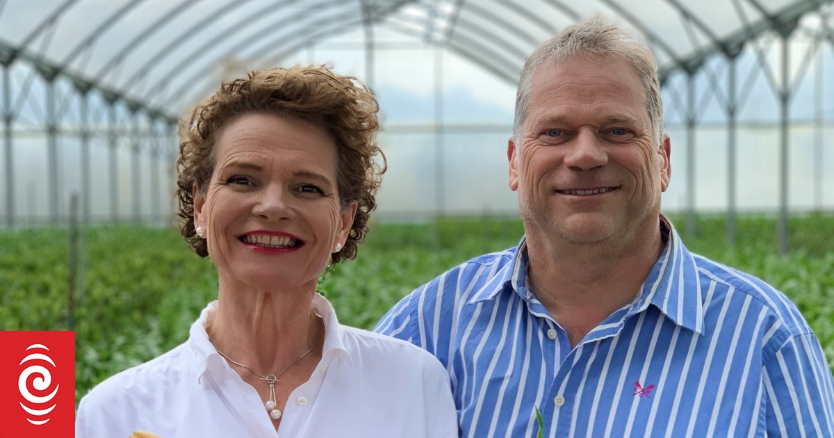 From one bunch to four greenhouses | RNZ