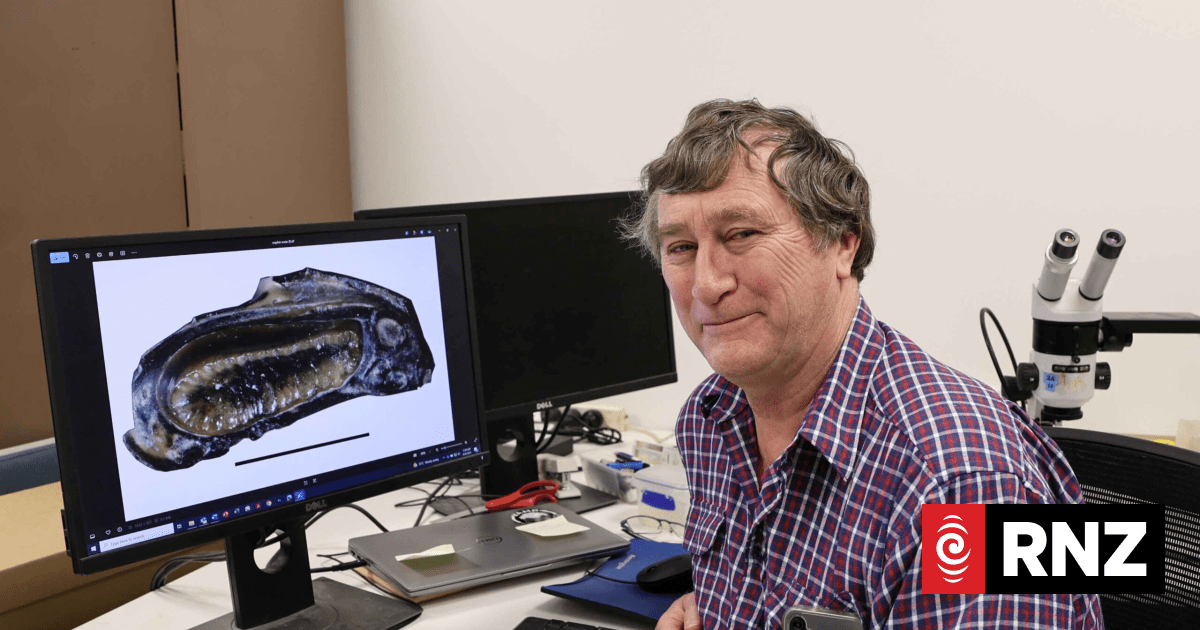 Trevor Worthy on a career of fossil finding | RNZ