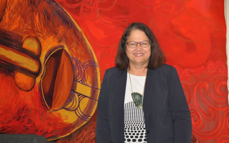 Māori health providers set up communication hub to combat covid-19 | RNZ