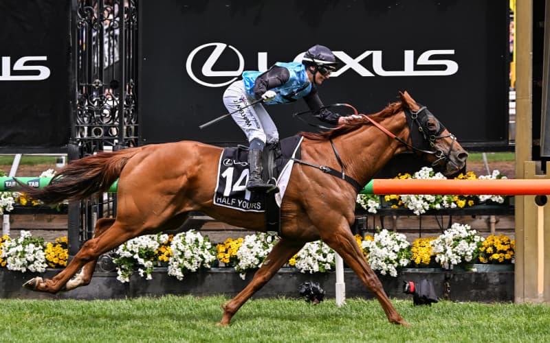 Half Yours wins 2025 Melbourne Cup | RNZ