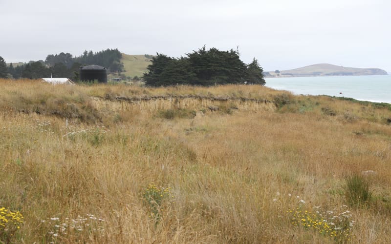 Dry conditions in Otago prompt tighter fire restrictions, warnings | RNZ