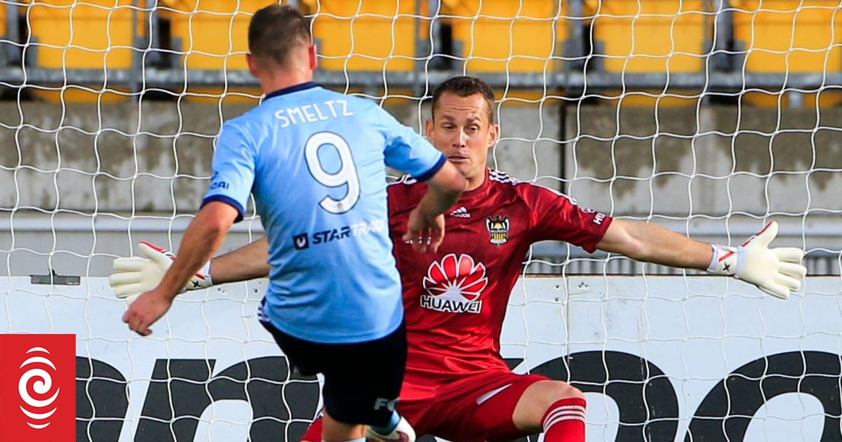 Smeltz lifts Sydney to victory | RNZ News