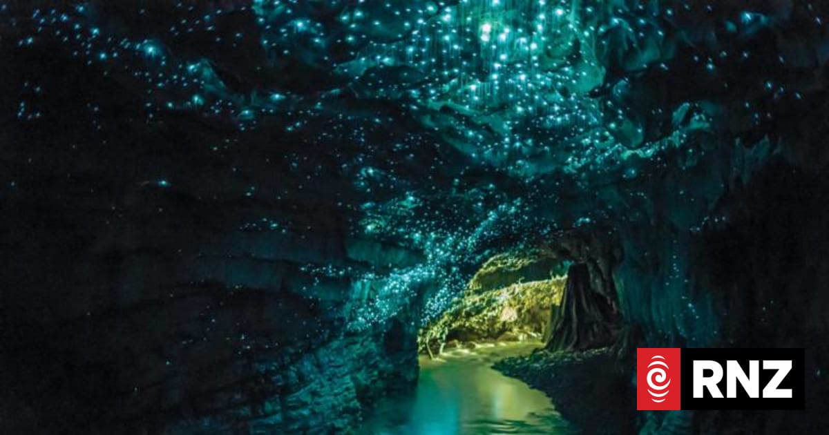 Moves underway to ensure koi carp don't reach Waitomo Caves | RNZ