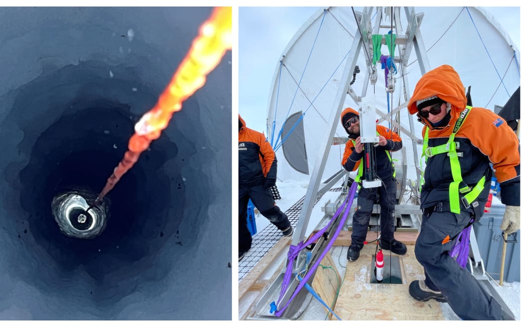 Unexpected "swarm" of marine life found beneath Antarctic ice | RNZ