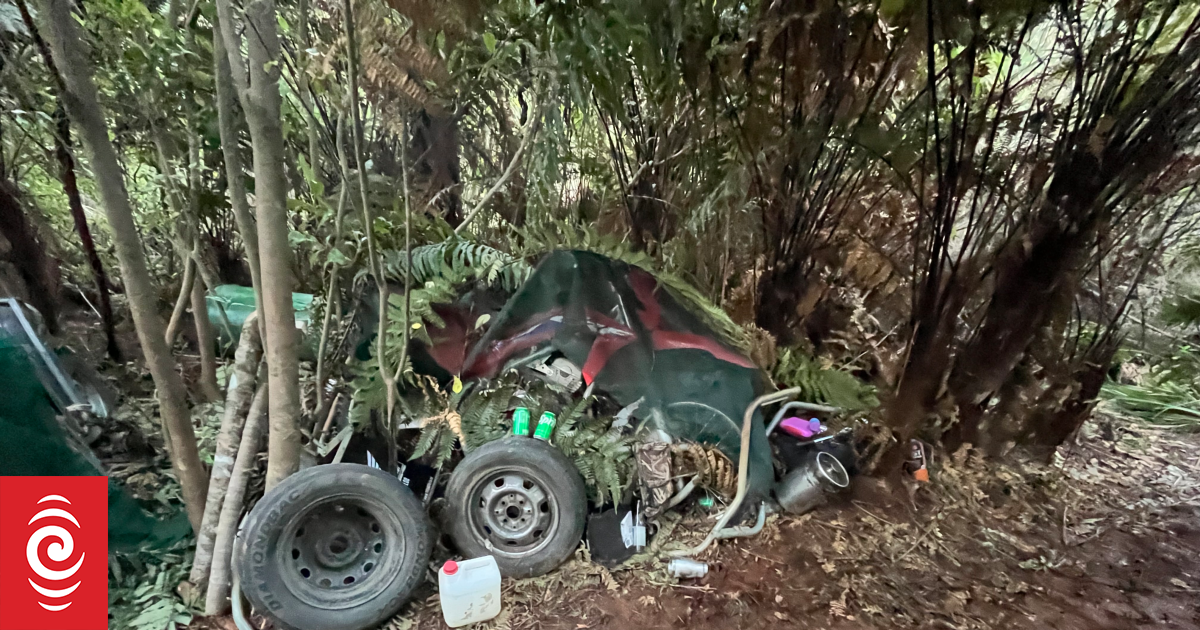 Revealed: First photos of campsite where Tom Phillips and children were ...