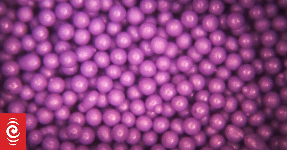 Microbead ban takes effect, but experts warn no silver bullet | RNZ News