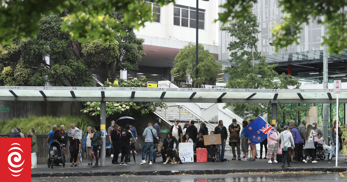 Disinformation project explains what's going on | RNZ