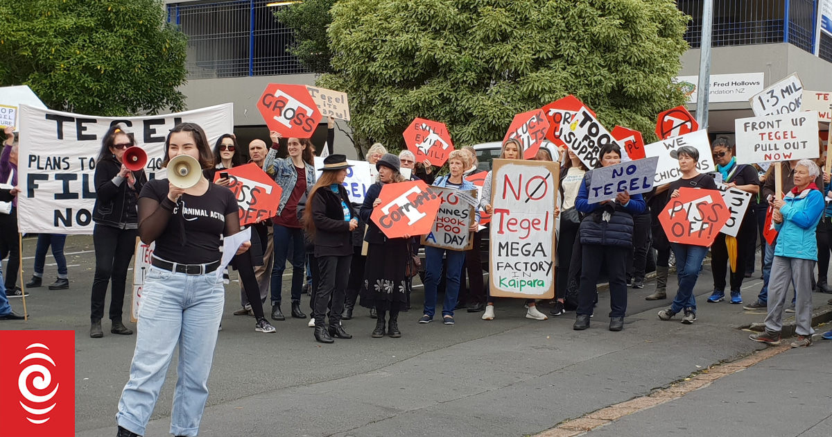 Nearly 80 protest Tegel's mega chicken farm | RNZ News