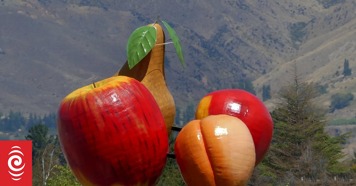 Fruit and Vege Report with Glenn Forsyth | RNZ