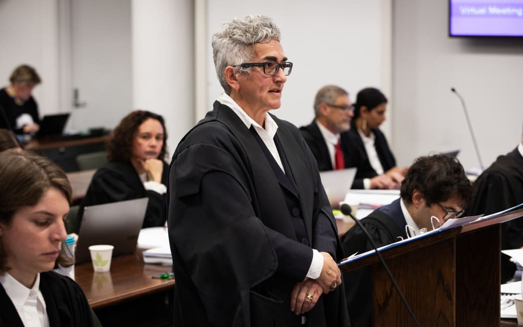 Solicitor-General reverses prosecution guidelines requiring ...