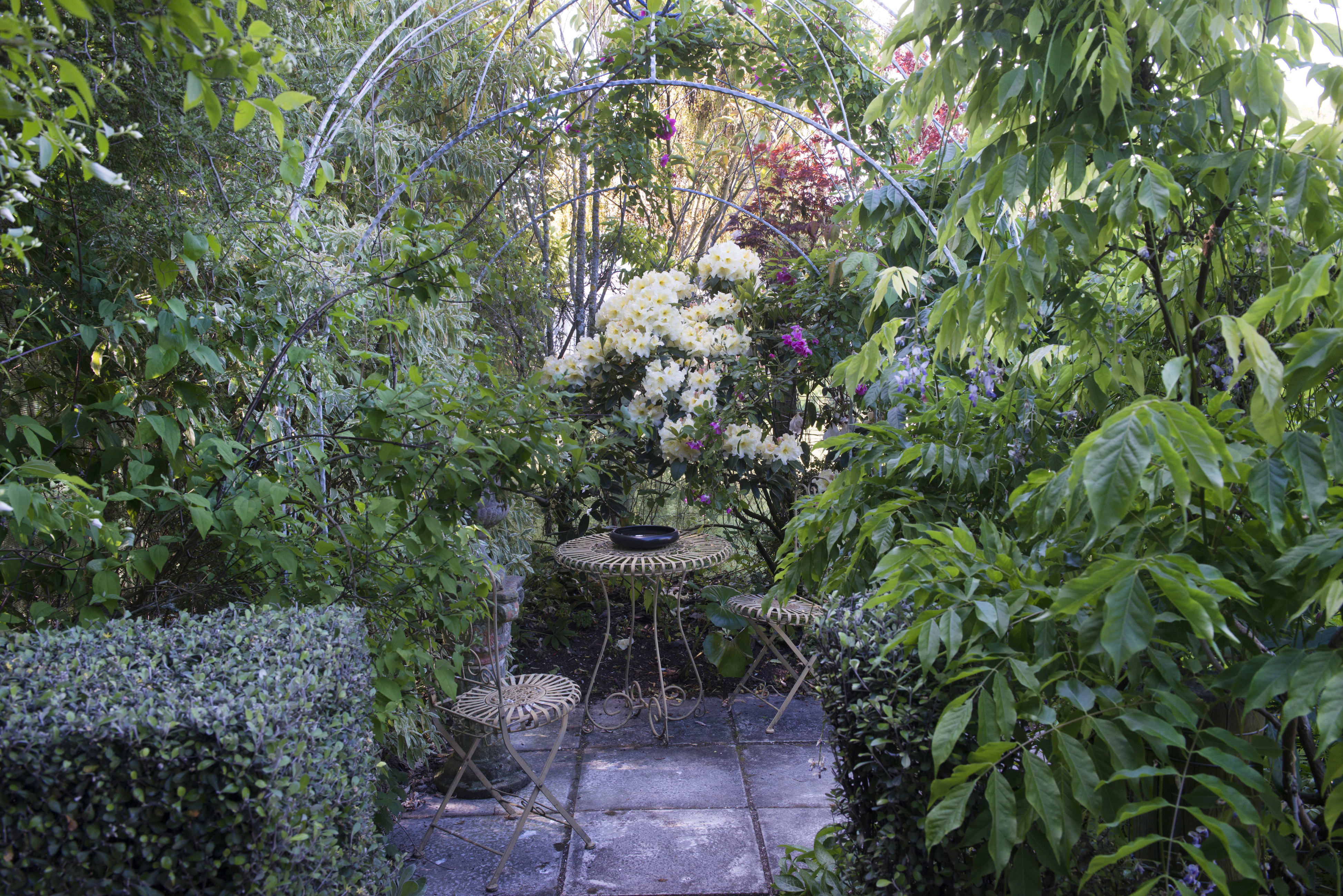Gordon Collier's magical home gardens | RNZ