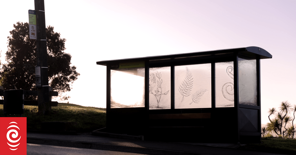 Frustrated school bus drivers eye change to public transport | RNZ News