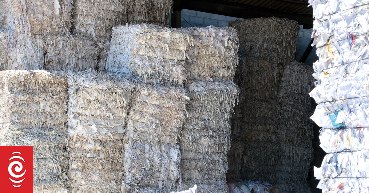 Auckland Council urges feasibility study for paper recycling options ...