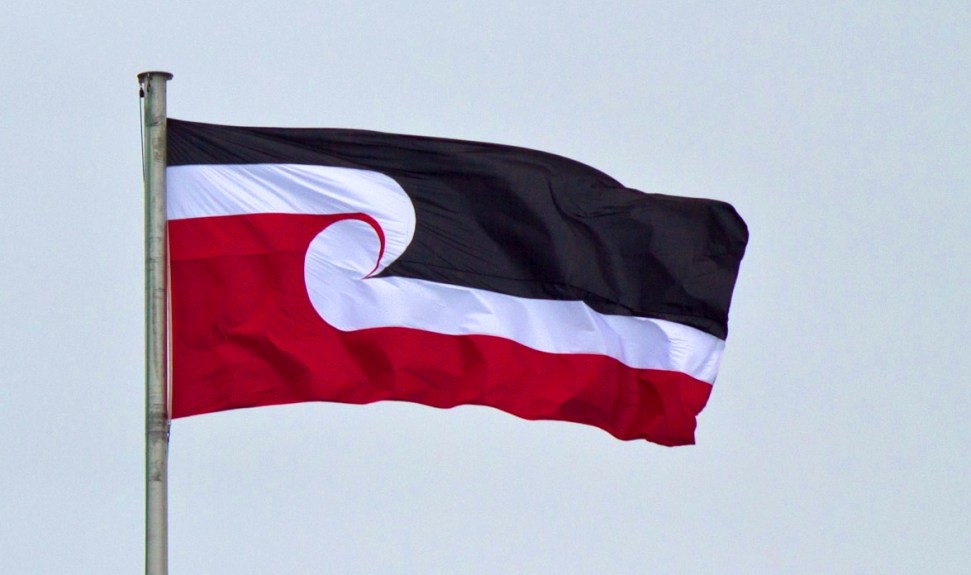 He Puapua report bogged down in 'swamp of politics' | RNZ News