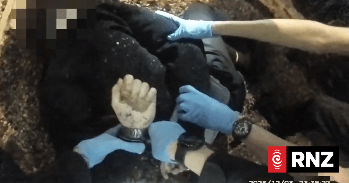 'I can't breathe': Outrage after UK police handcuff dying student | RNZ ...