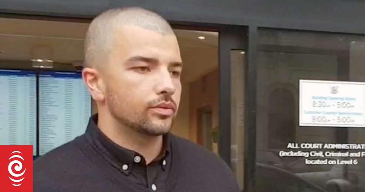 Man pleads guilty over Len Lye sculpture damage | RNZ News