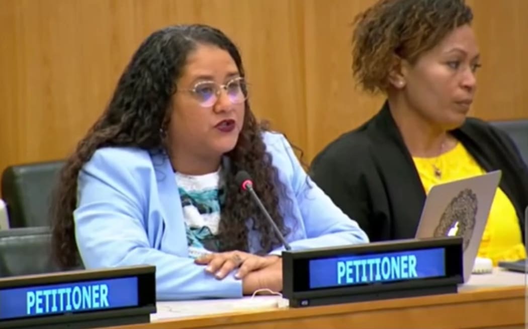 'We carry the voice of the colonised people' - delegates speak of ...