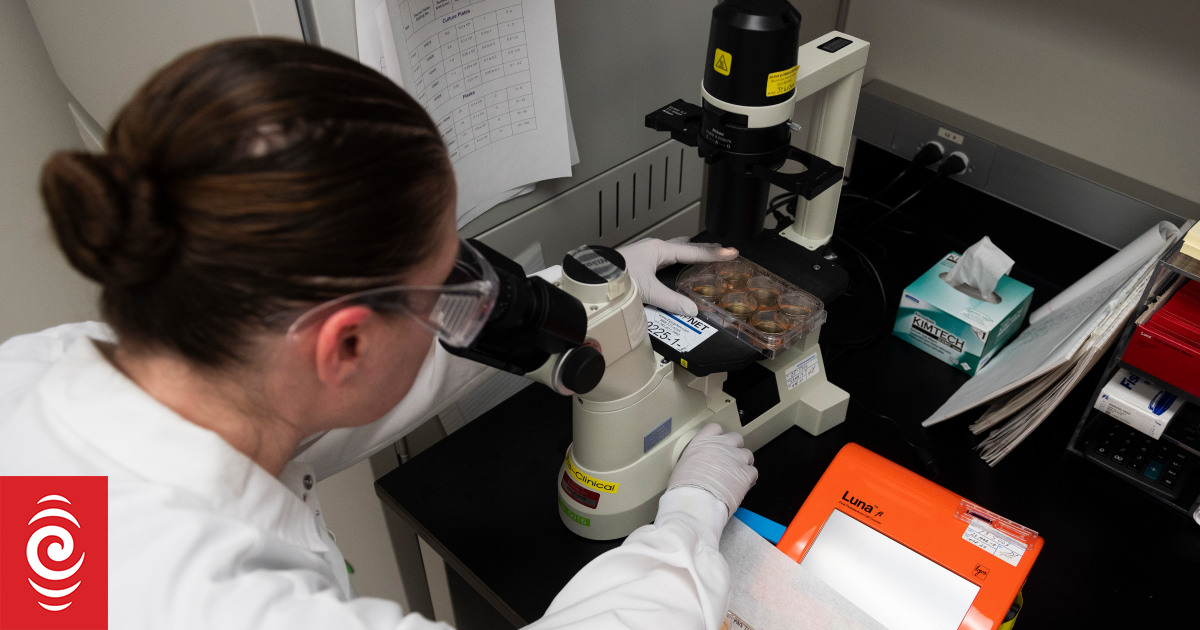 Covid-19: Novavax vaccine gains provisional Medsafe approval | RNZ News