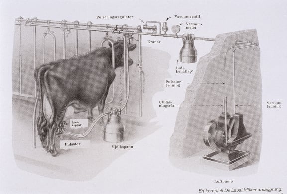 Saturday Morning for Saturday 25 November 2017 Saturday Morning | RNZ
