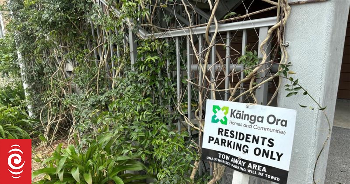 'I don't feel safe' - Kāinga Ora tenant says neighbour threatening ...