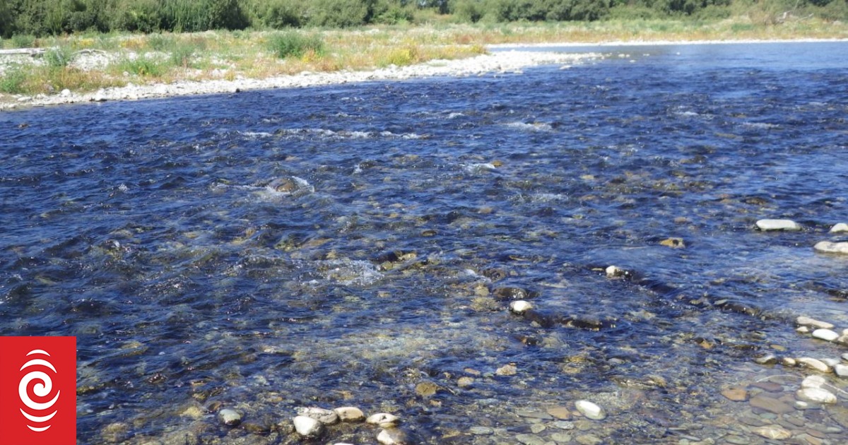 Search for missing Timaru fisherman scaled back | RNZ News