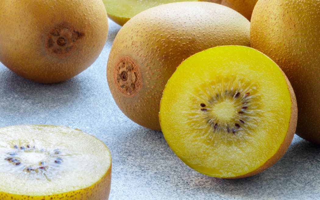Fewer licences to be released for growing Sungold kiwifruit | RNZ News