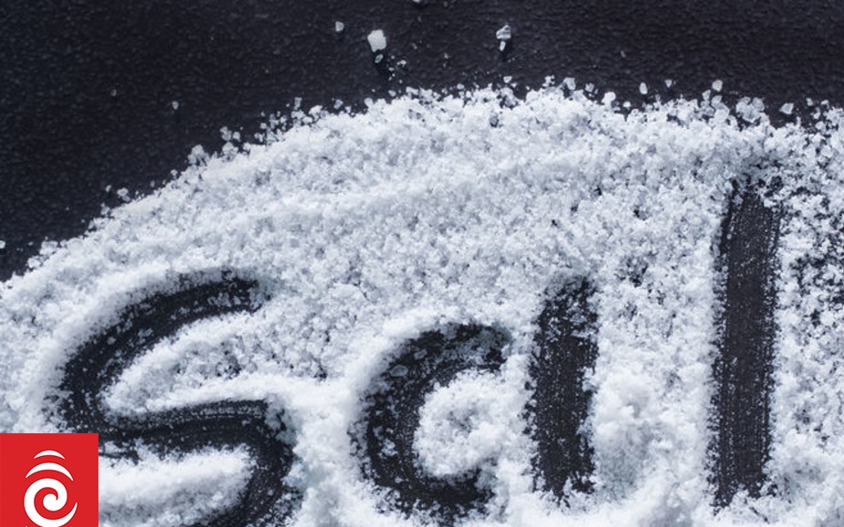 Research suggests salt tax could save millions | RNZ News