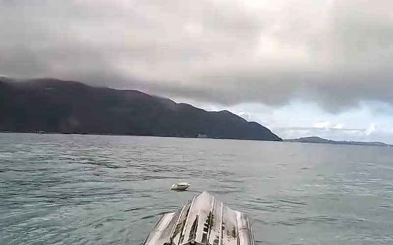 Boat that capsized, killing five people off Kaikōura was hit by whale ...