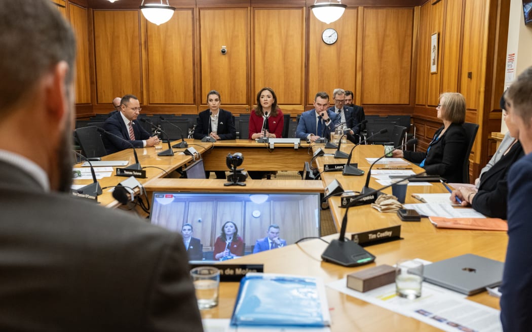 Ukrainian MPs at Parliament | RNZ