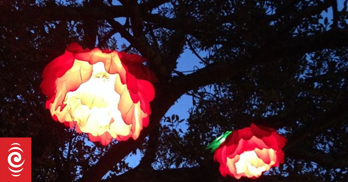 The Pre-Panel Peter Field and Ruth Money | RNZ