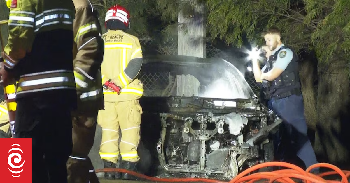 Police charge man over kidnapping and murder of Sydney mum Thi Kim Tran | RNZ News