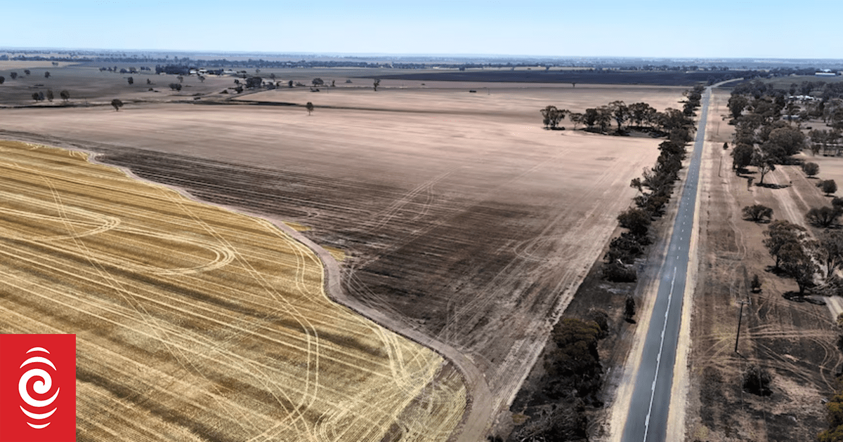 Victoria's bushfires more than five times the size of Singapore | RNZ News