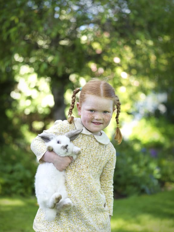 Animals helping children to heal | A Gallery from Nine To Noon | RNZ ...