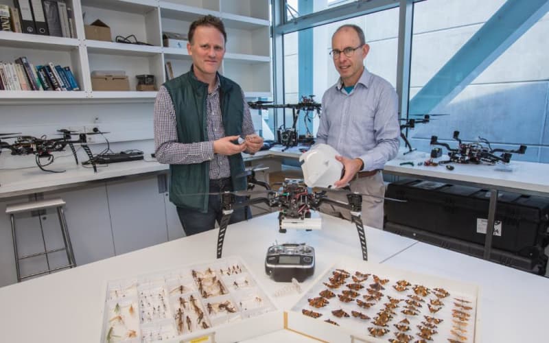 New radar, drone tech being developed to track insects | RNZ