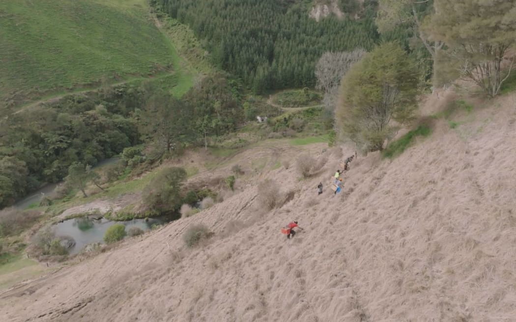 Farmers help to restore one of New Zealand's most polluted estuaries | RNZ