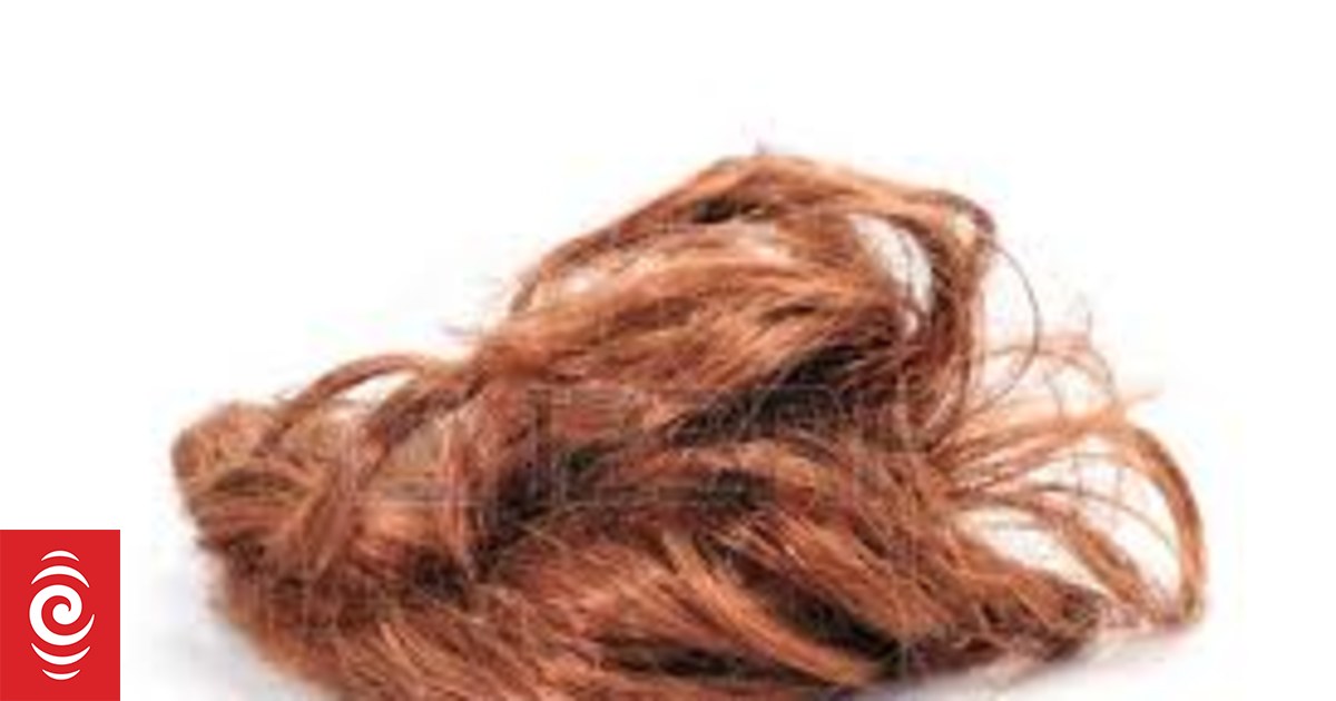 Expert Feature: Wigs and toupees | RNZ