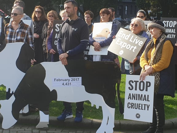 SAFE protesters take a stand against export of live farm animals | RNZ News