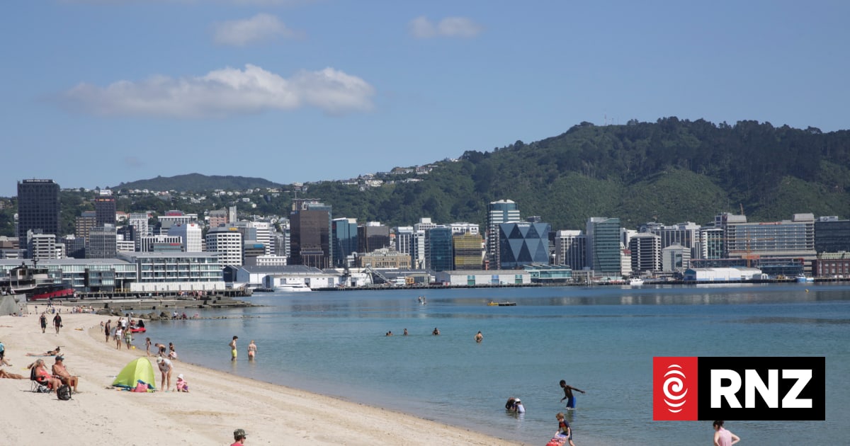 NZ's 10th warmest year on record: What we can learn from 2024 climate ...