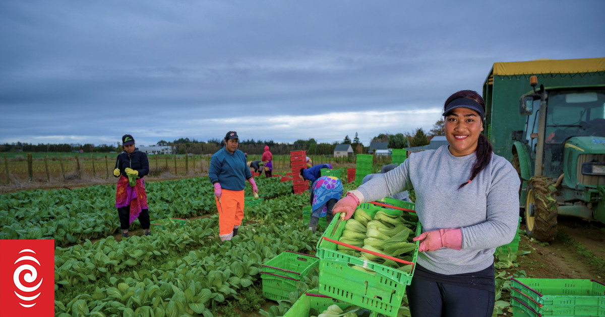 Fruit and Vege Report with Glenn Forsyth | RNZ